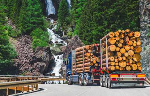 Forestry - Canada | SI onboard